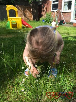 #30DaysWild - Daisy chains and flower crowns - Little Hearts, Big Love