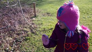 Spotting signs of spring on a nature walk - Little Hearts, Big Love