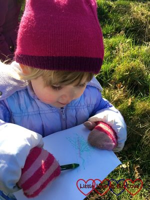 Spotting signs of spring on a nature walk - Little Hearts, Big Love
