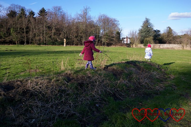Spotting signs of spring on a nature walk - Little Hearts, Big Love