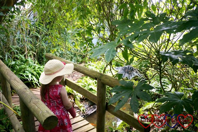 Exploring the gardens at Iver Environment Centre - Little Hearts, Big Love