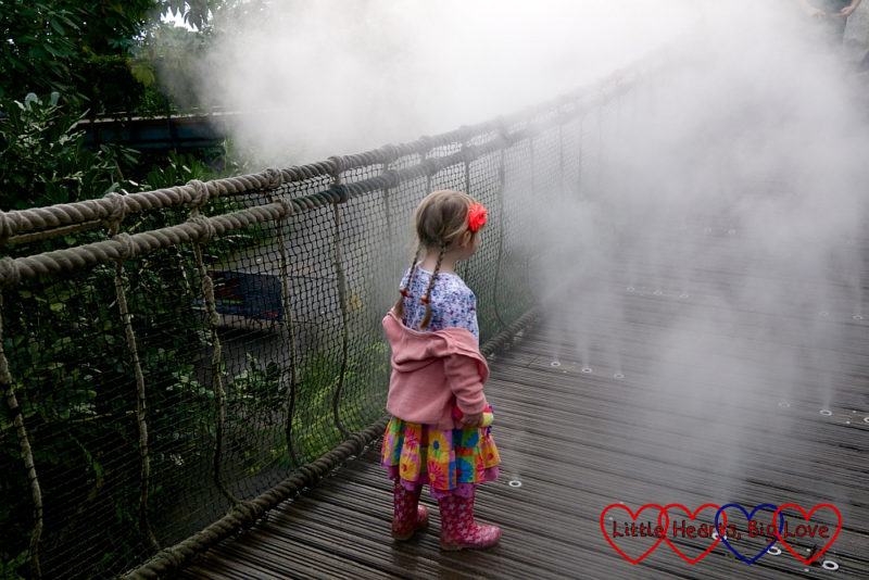 A visit to the Eden Project - Little Hearts, Big Love