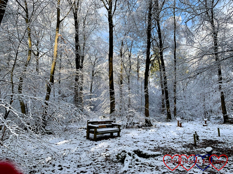 The first snow of the year - Little Hearts, Big Love