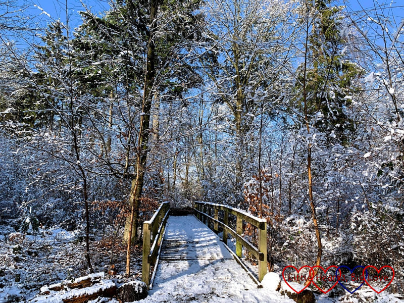 The first snow of the year - Little Hearts, Big Love