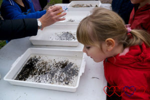 River dipping at Denham Country Park - Little Hearts, Big Love