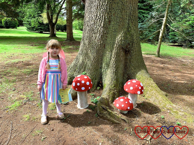 A magical fairy hunt in Langley Park - Little Hearts, Big Love