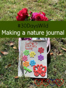 #30dayswild - Making a nature journal - Little Hearts, Big Love