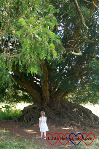 Exploring Waverley Abbey - Little Hearts, Big Love