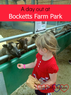A day out at Bocketts Farm Park - Little Hearts, Big Love