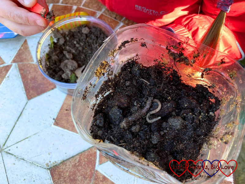 Outdoor learning: making a wormery - Little Hearts, Big Love