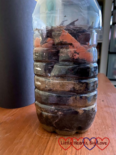 Outdoor learning: making a wormery - Little Hearts, Big Love