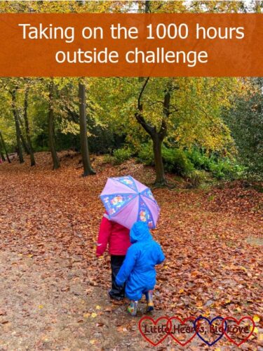 Taking on the 1000 hours outside challenge - Little Hearts, Big Love