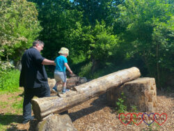 Learning about bees and pollination at Iver Environment Centre - Little ...