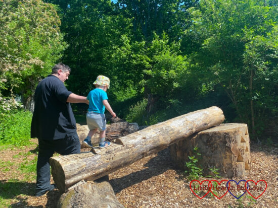 Learning about bees and pollination at Iver Environment Centre - Little ...