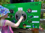 Learning about bees and pollination at Iver Environment Centre - Little ...